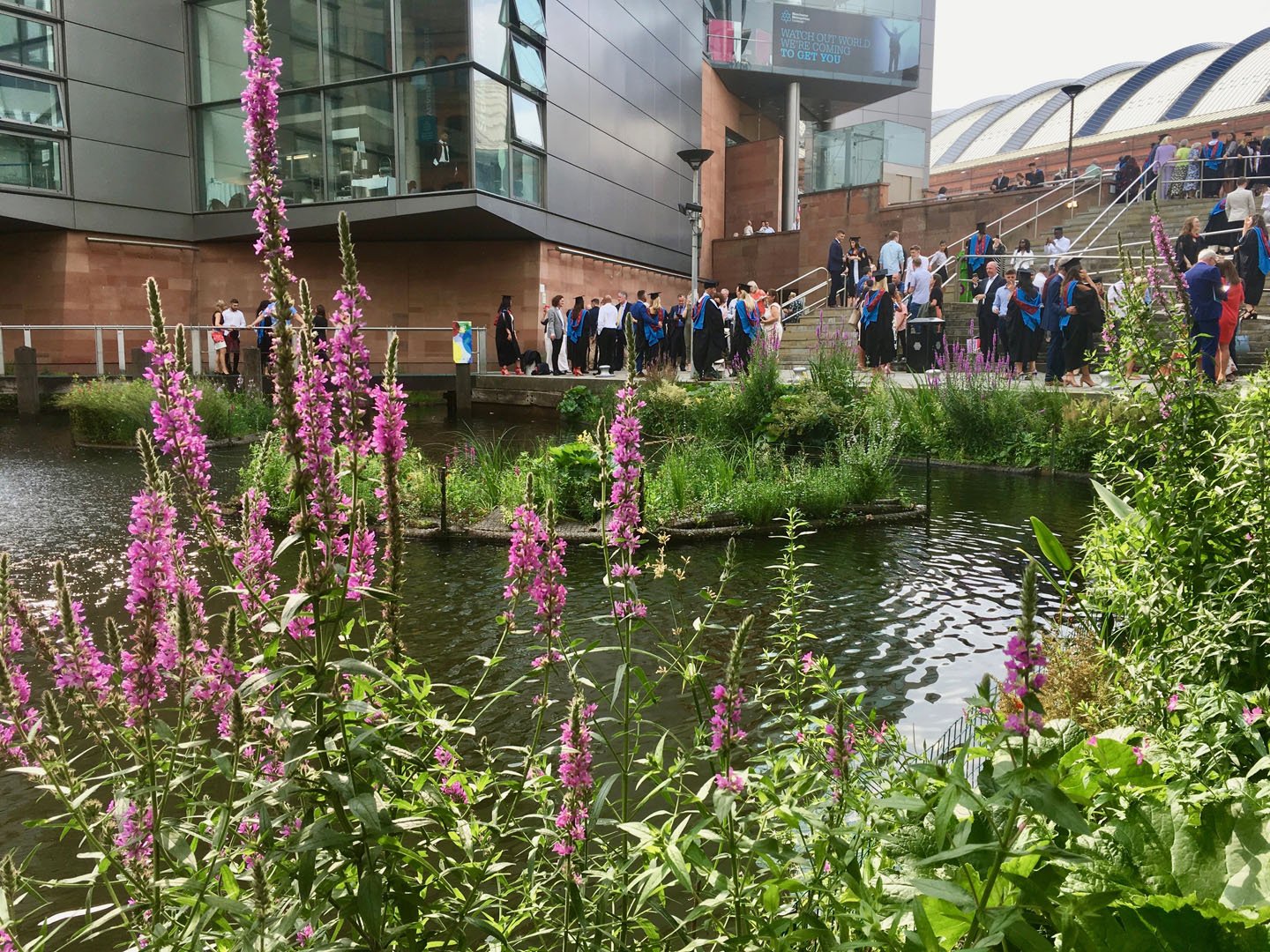 Biomatrix Water - Havenhout Zaanstad